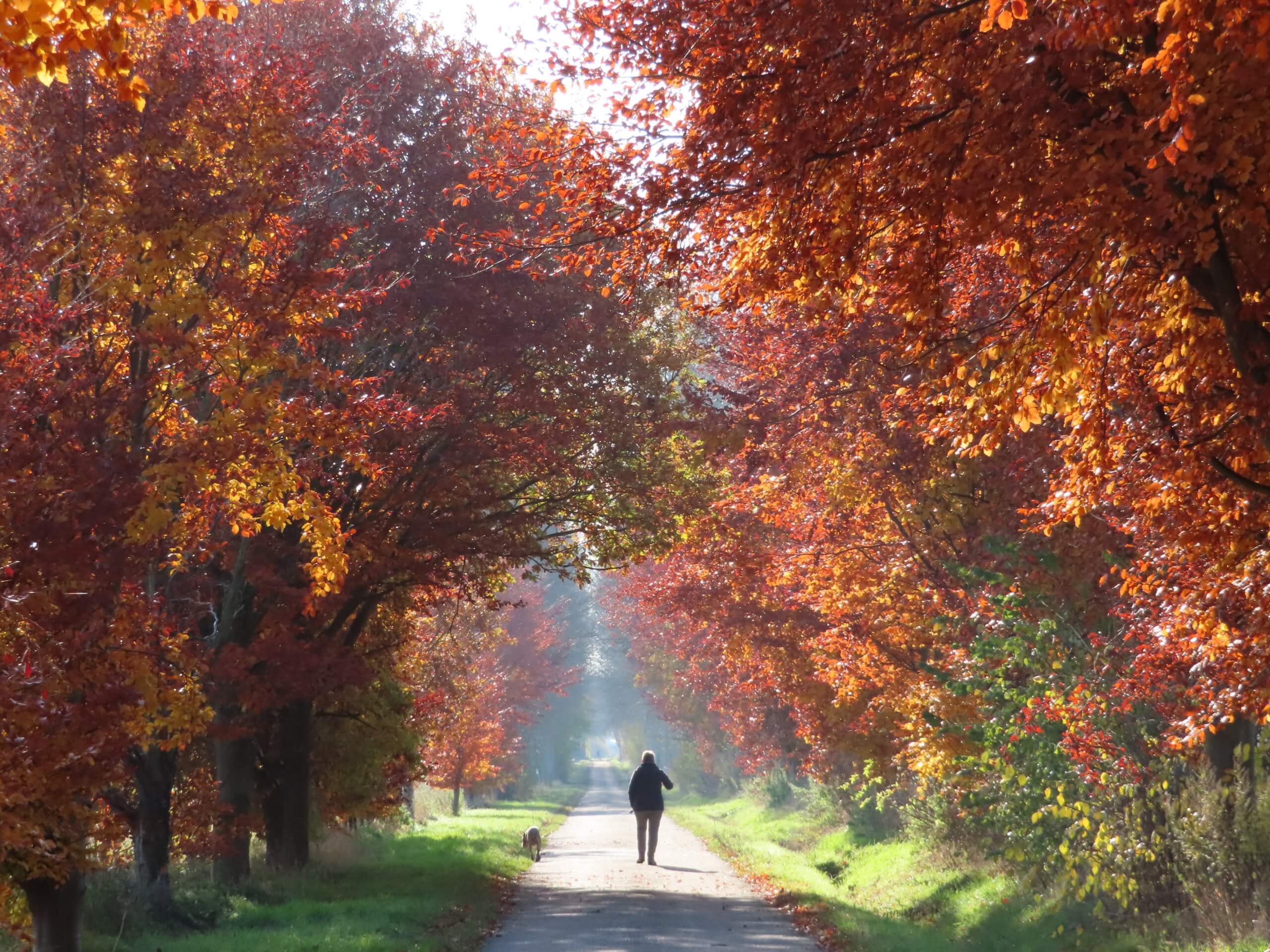 Wandelen in Haspengouw - Toerisme Sint-Truiden