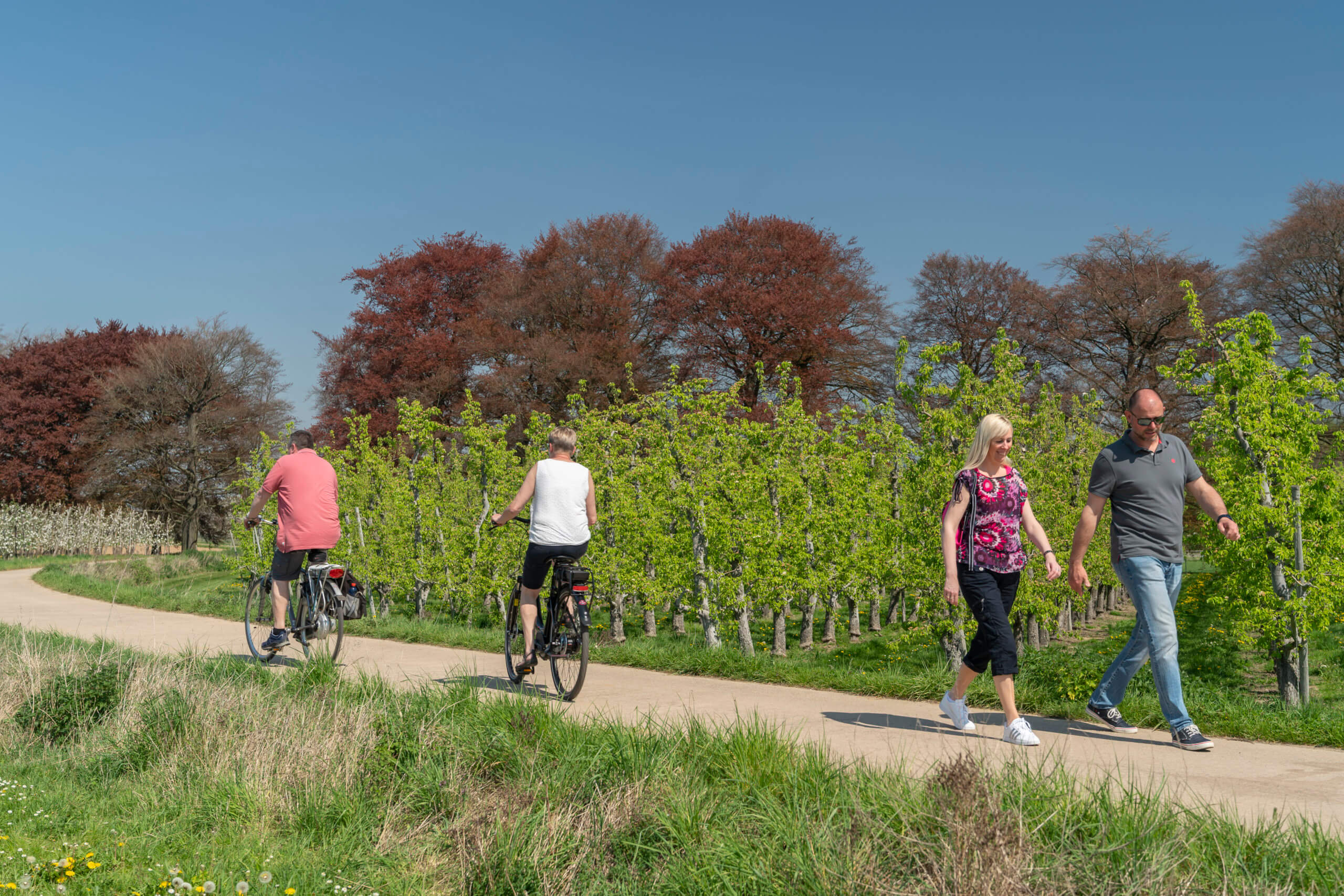 Wandelen, fietsen of toeren in Haspengouw - Toerisme Sint-Truiden